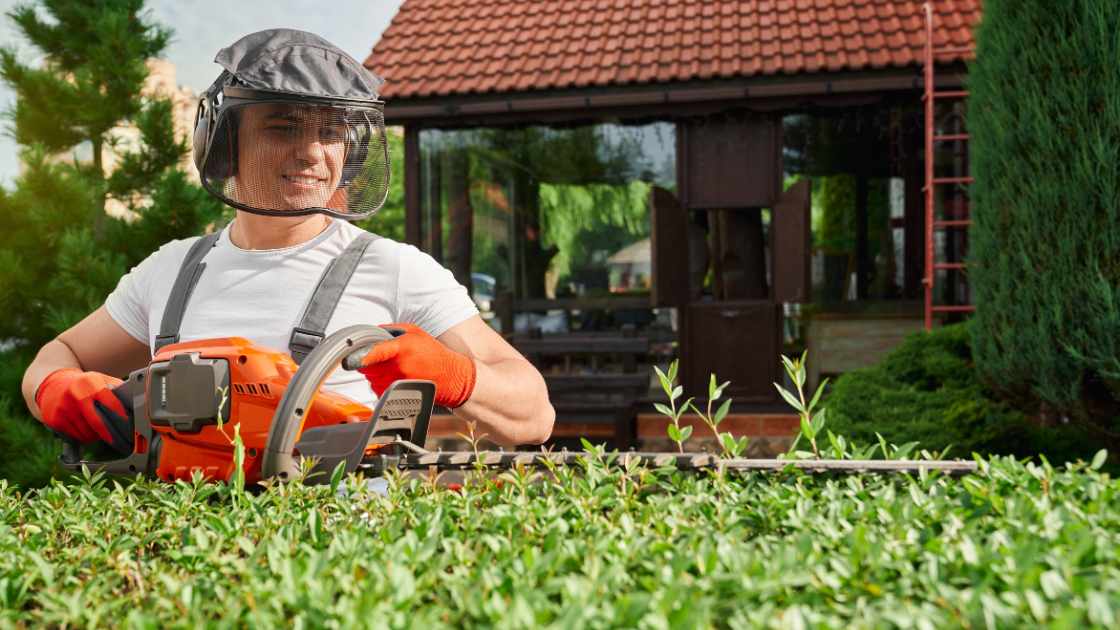 Start Here - HedgeTrimmerGuide.com